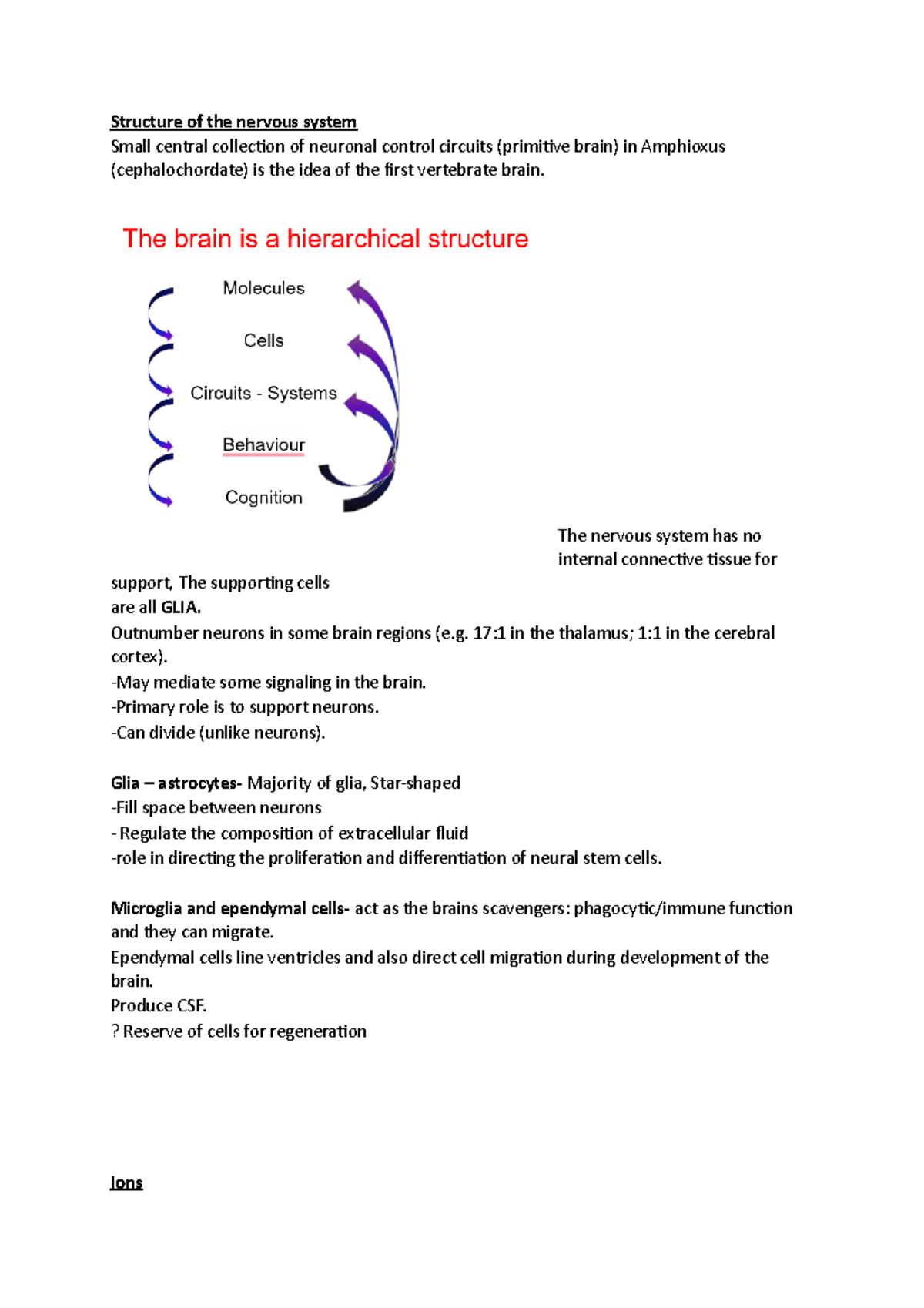 Neurology revision - Summary of key parts from weeks 1-6 - Structure of ...