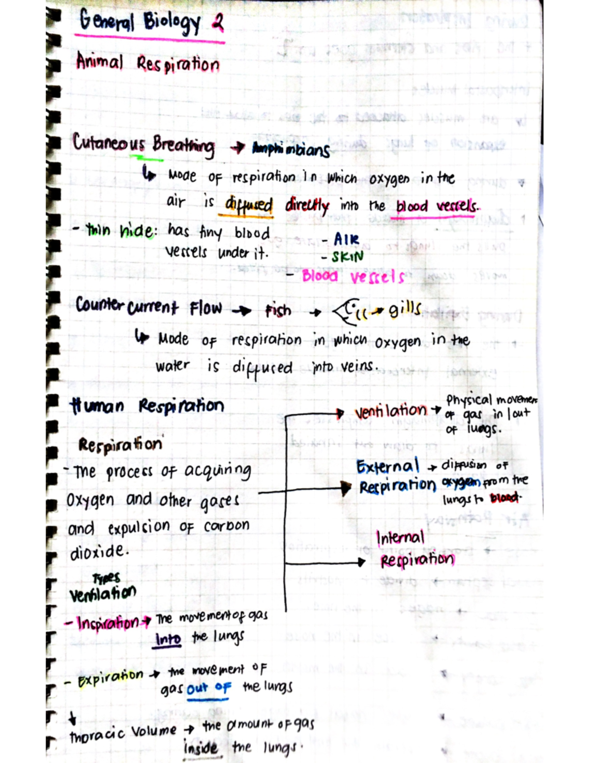 General Biology Animal Respiration 16 - General Anatomy 1 - Studocu