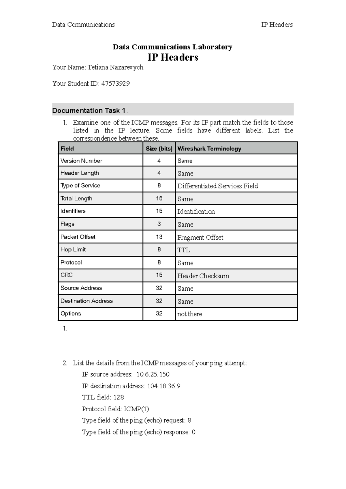 Practical Ip Headers Documentation Template Docx Data Communications Laboratory Ip Headers