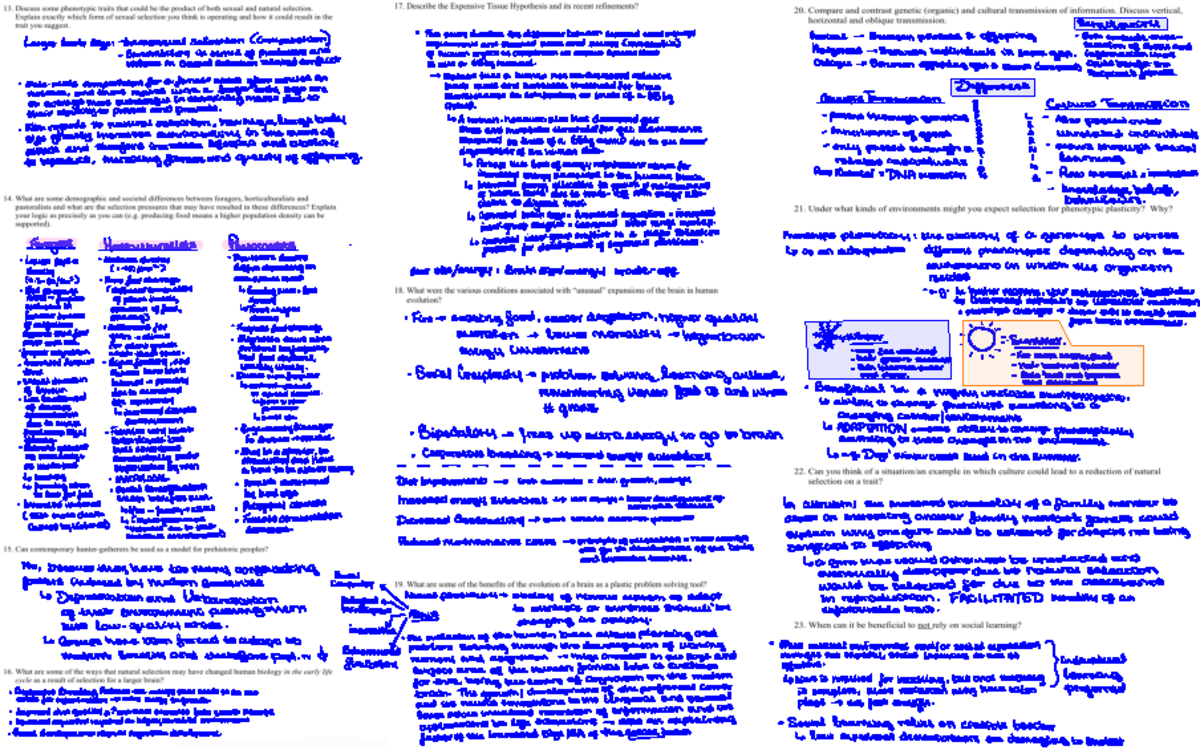 Tutorial work q set 1 - ANHB2215 - Studocu