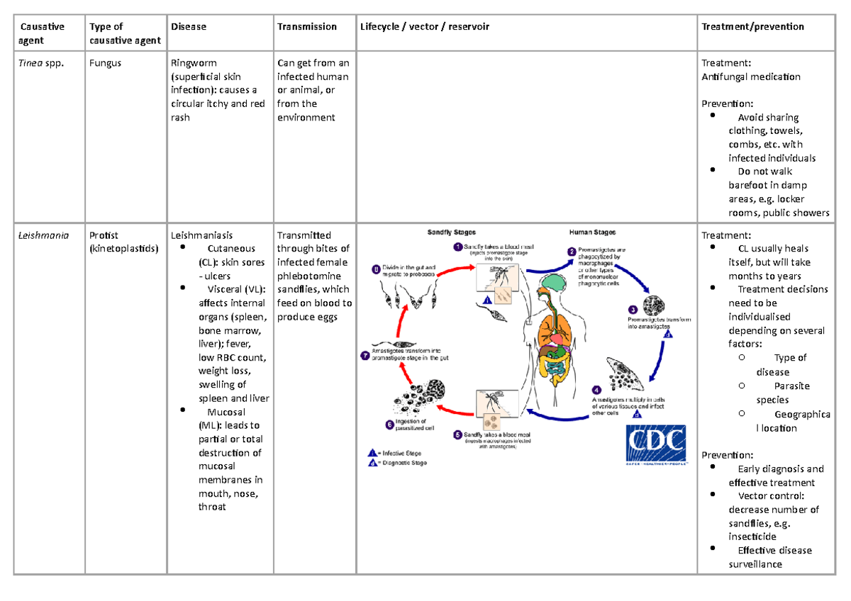Parasite-table - table summaries on parasites - Causative agent Type of ...