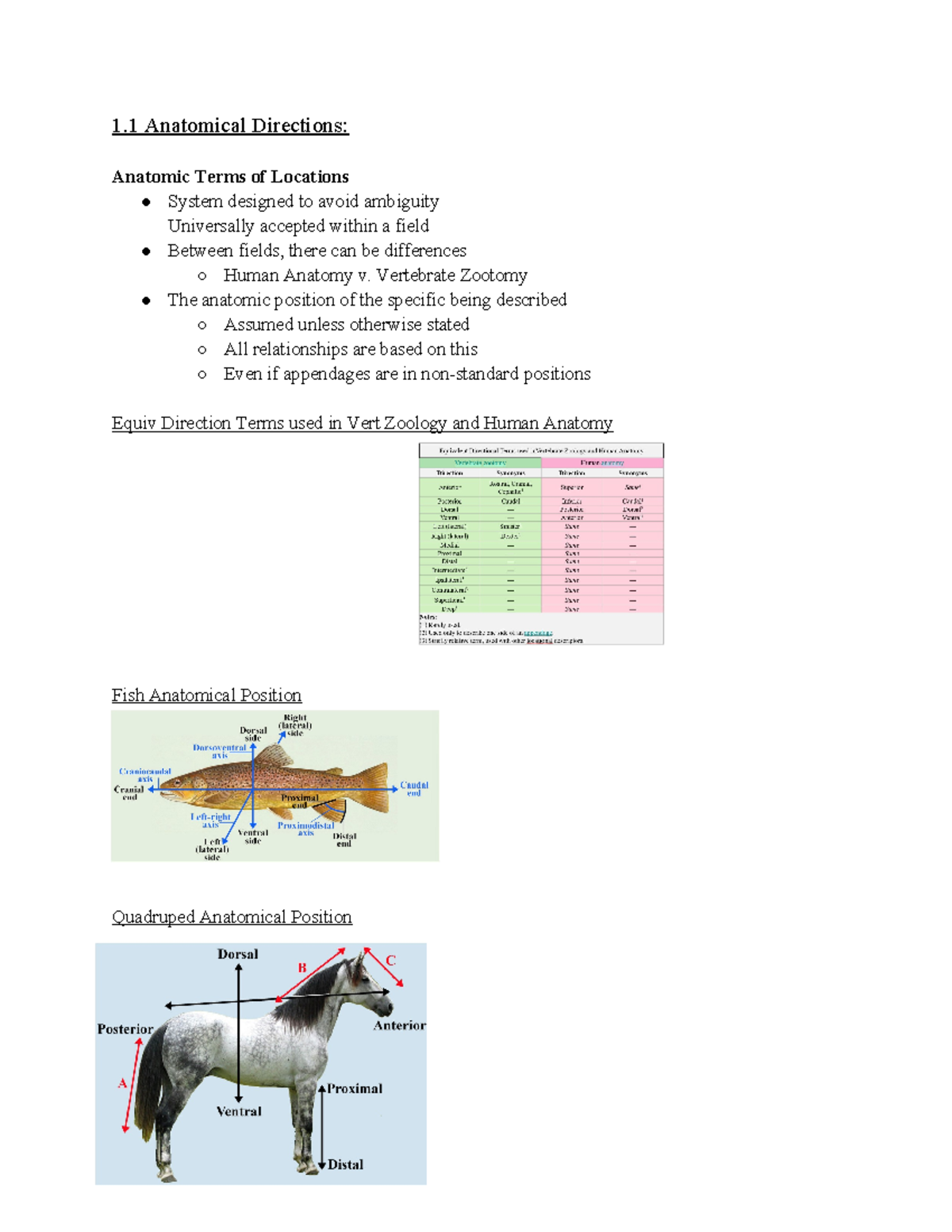 Verts LAB Notes - 1.1, 1.2, and 2.2 - 1 Anatomical Directions: Anatomic ...