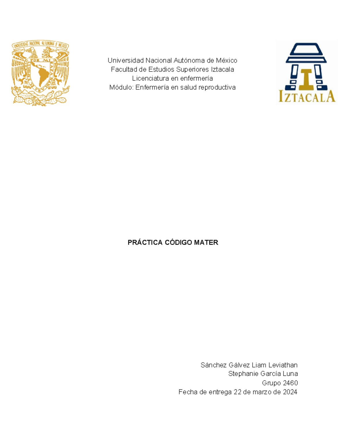Práctica Código Mater - Universidad Nacional Autónoma de México Facultad de Estudios Superiores ...