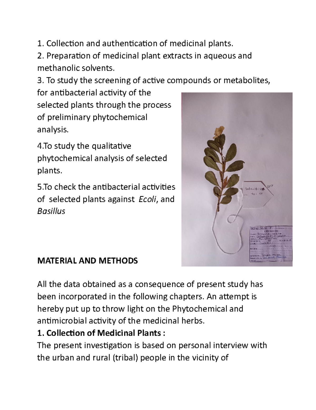 Bb - botny - Collection and authentication of medicinal plants ...