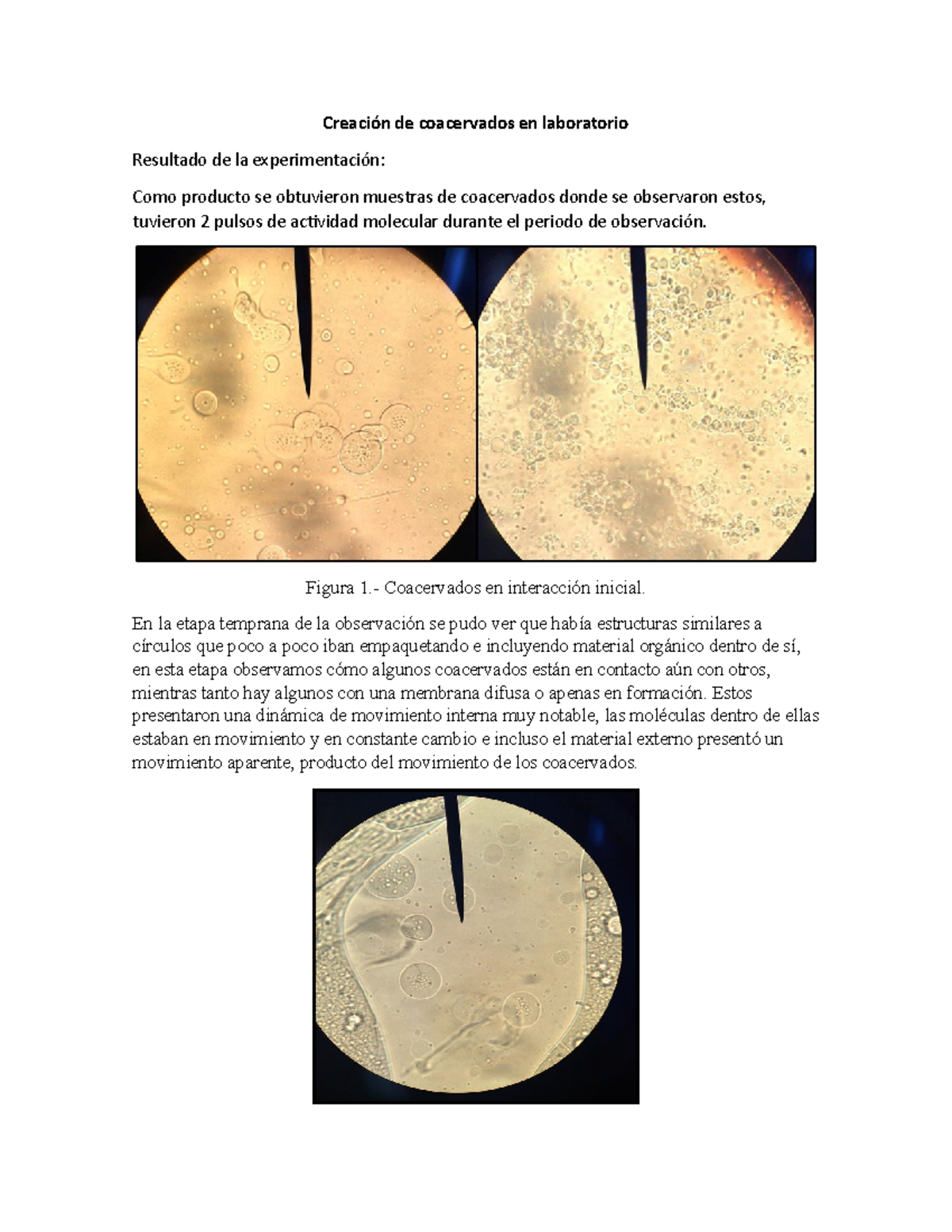 Creación de coacervados en laboratorio - de coacervados en laboratorio ...