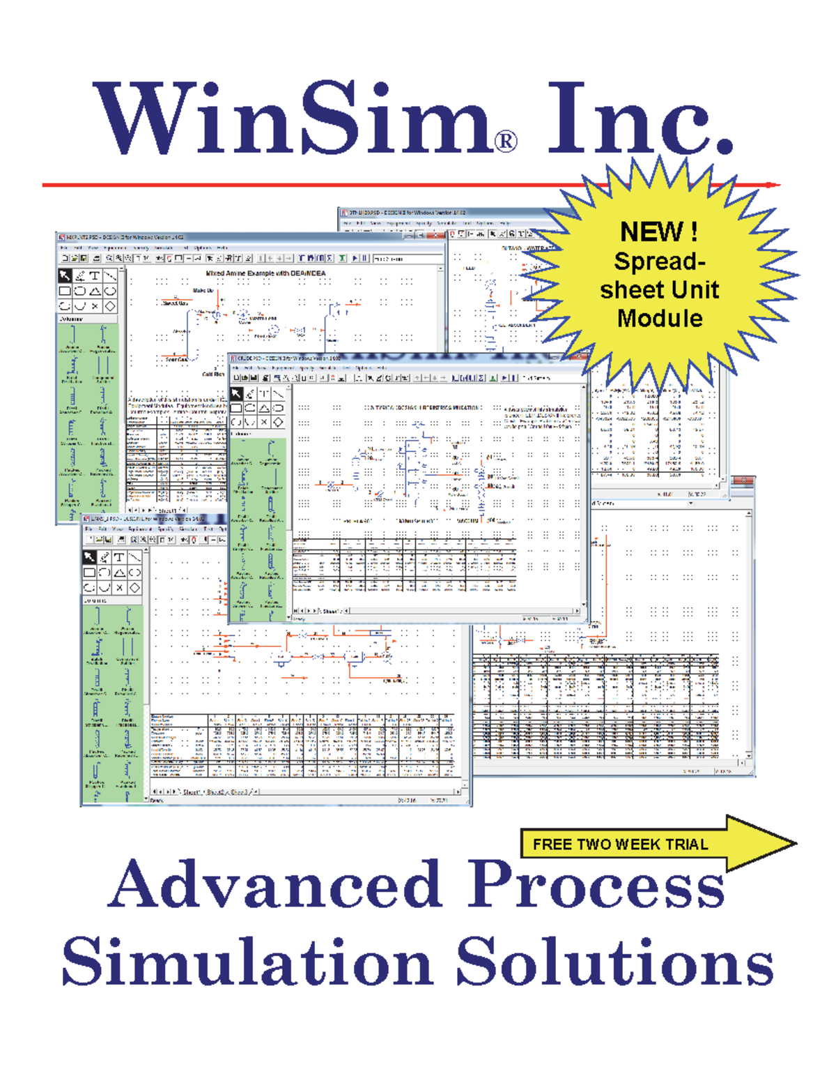 Diiw brochure - WinSim® Inc. Advanced Process Simulation Solutions FREE ...