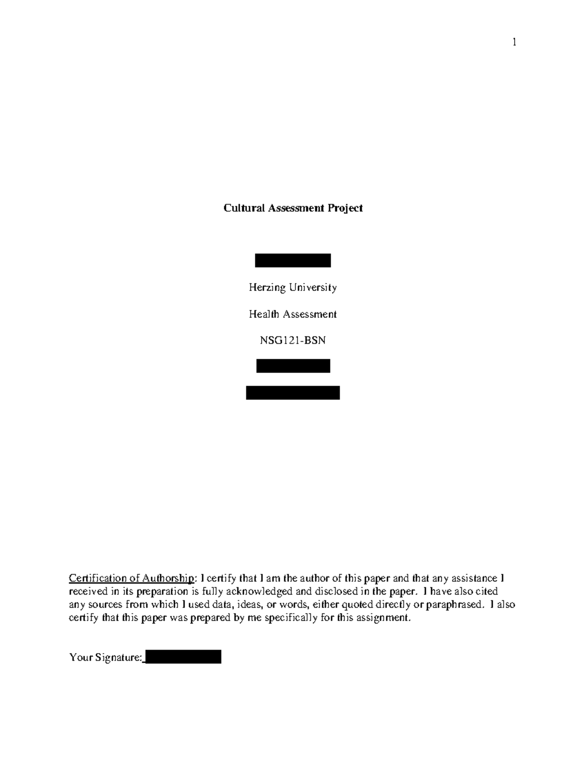 Culture example - health assessment paper - Cultural Assessment Project ...