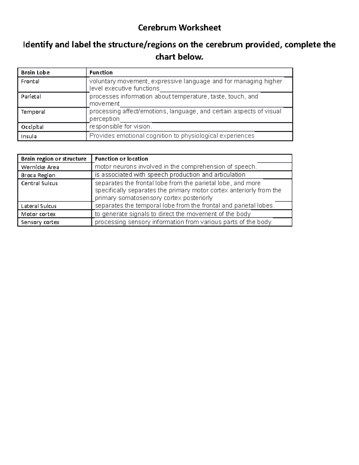 Cerebrum Worksheet - BL 213 - Studocu
