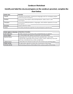 Integumentary System Worksheet - In the Stratum Basale, 4 different ...