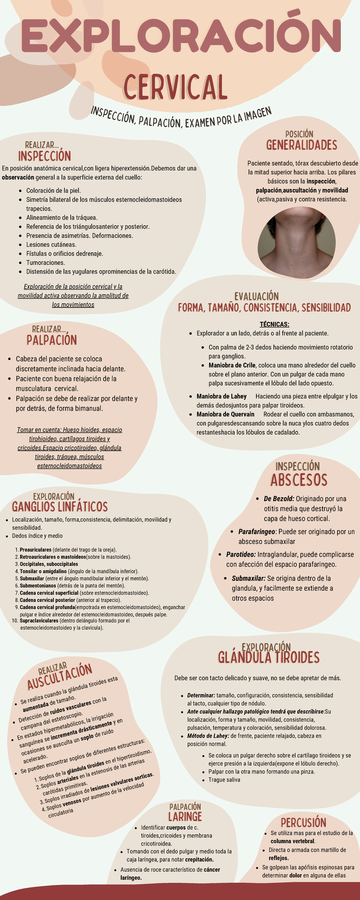 Exploración cervical - CERVICALCERVICAL ...