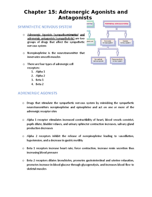 Hormone Replacement Therapy - oral estrogens premarin , estrace ...