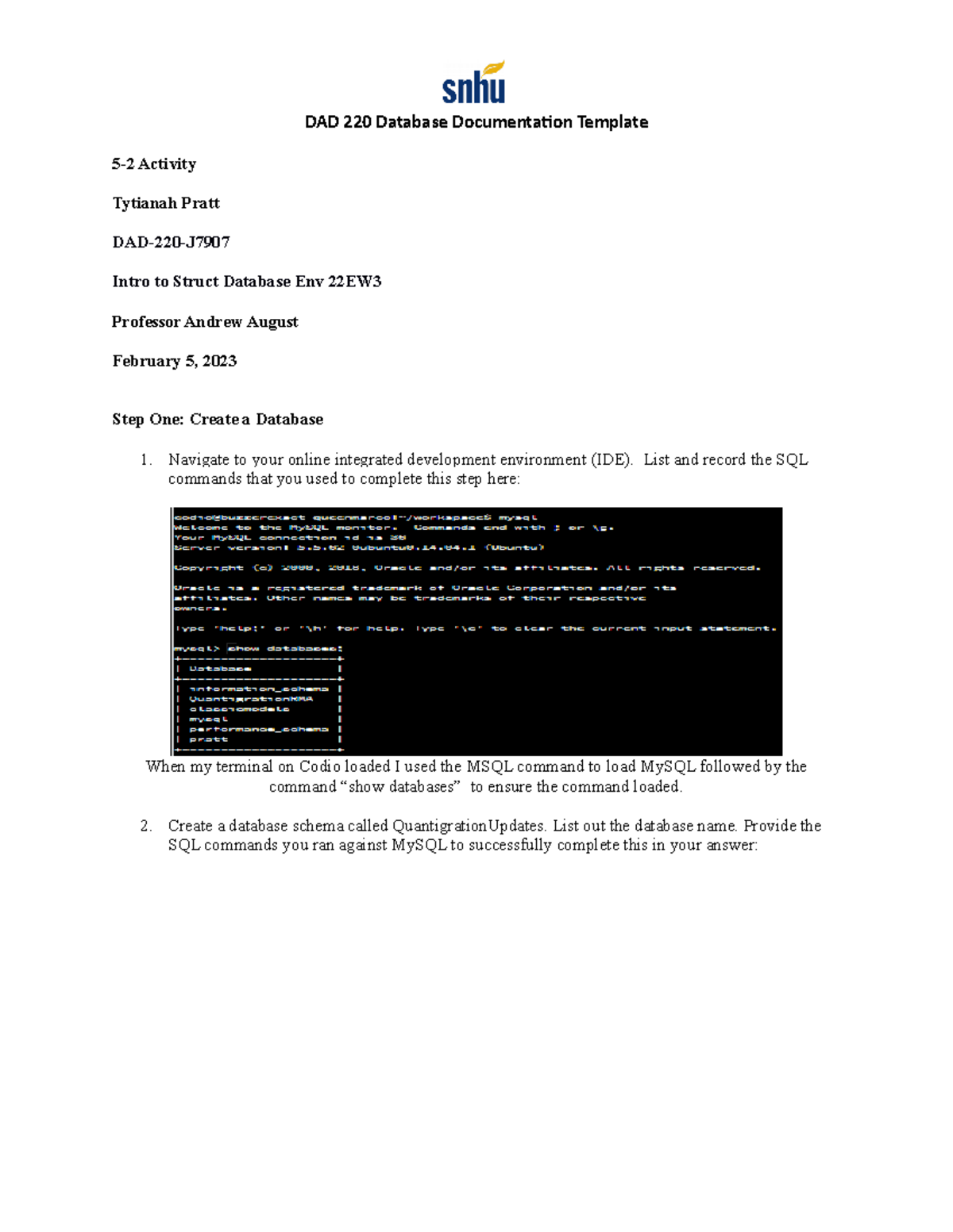 DAD 220 Database Document - DAD 220 Database Documentation Template 5-2 ...