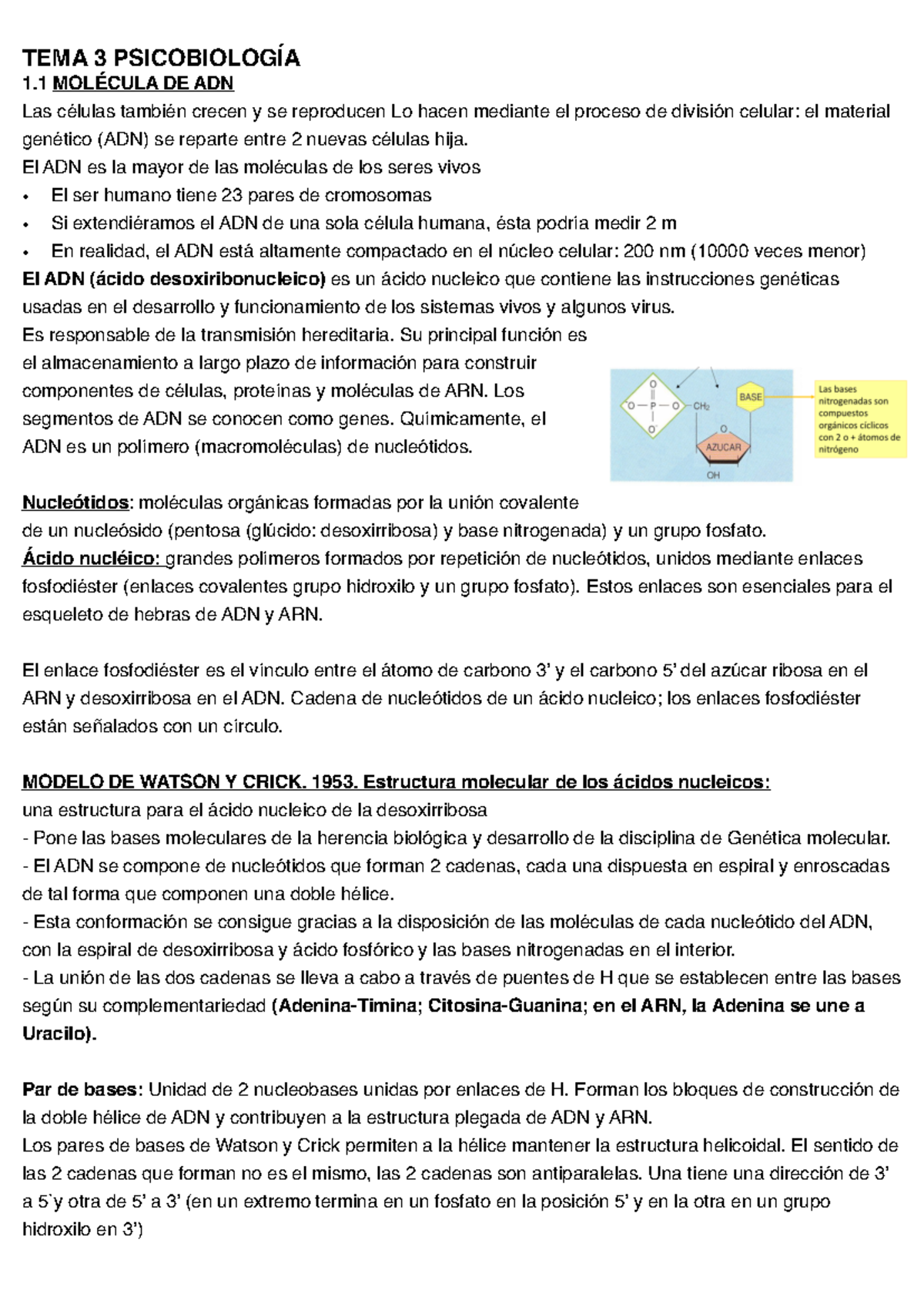 Tema 3 psicobiologia - apuntes tema 3 psicobio profe ana - TEMA 3 ...