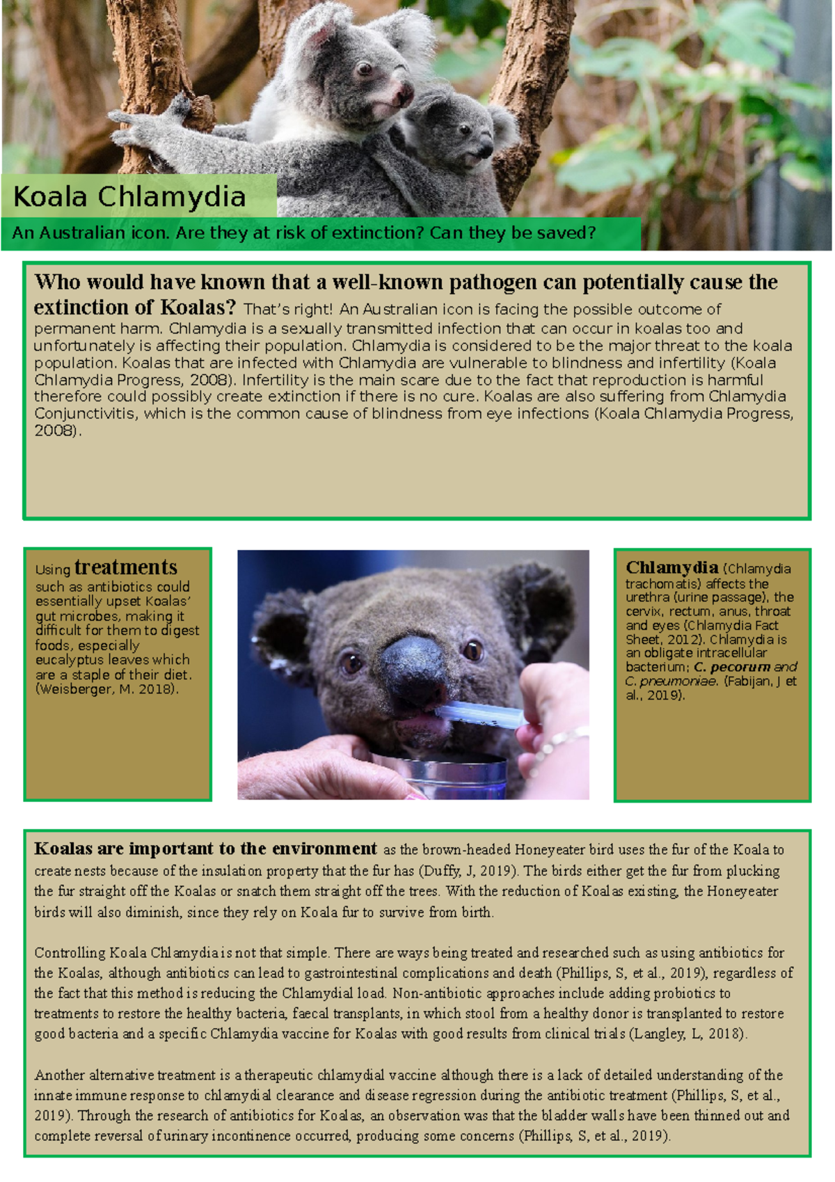 Gen micro mag - koala chlamydia - ii Koala Chlamydia An Australian icon ...