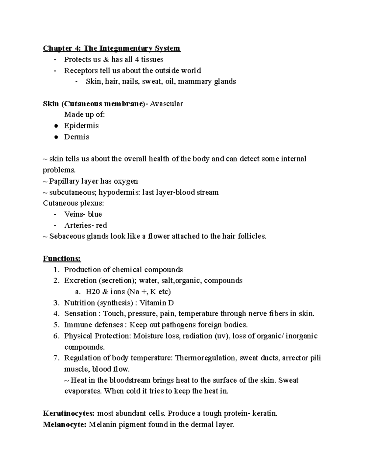 Chapter 4 The Integumentary System - Chapter 4: The Integumentary ...