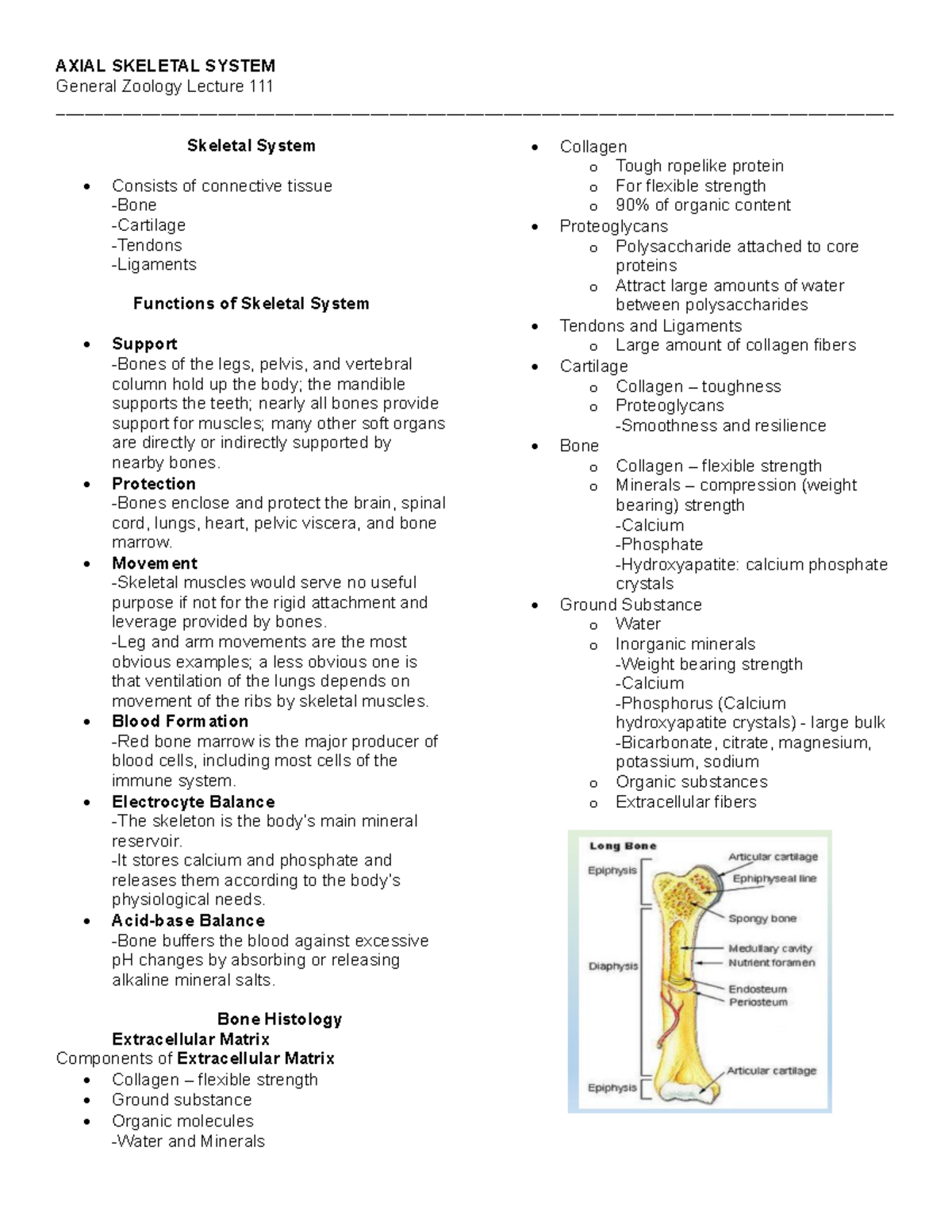 SKELETAL SYSTEM - General Zoology Lecture 111 Skeletal System Consists ...