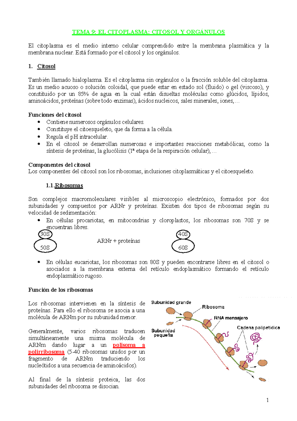 09 El citoplasma - Documento - - Studocu