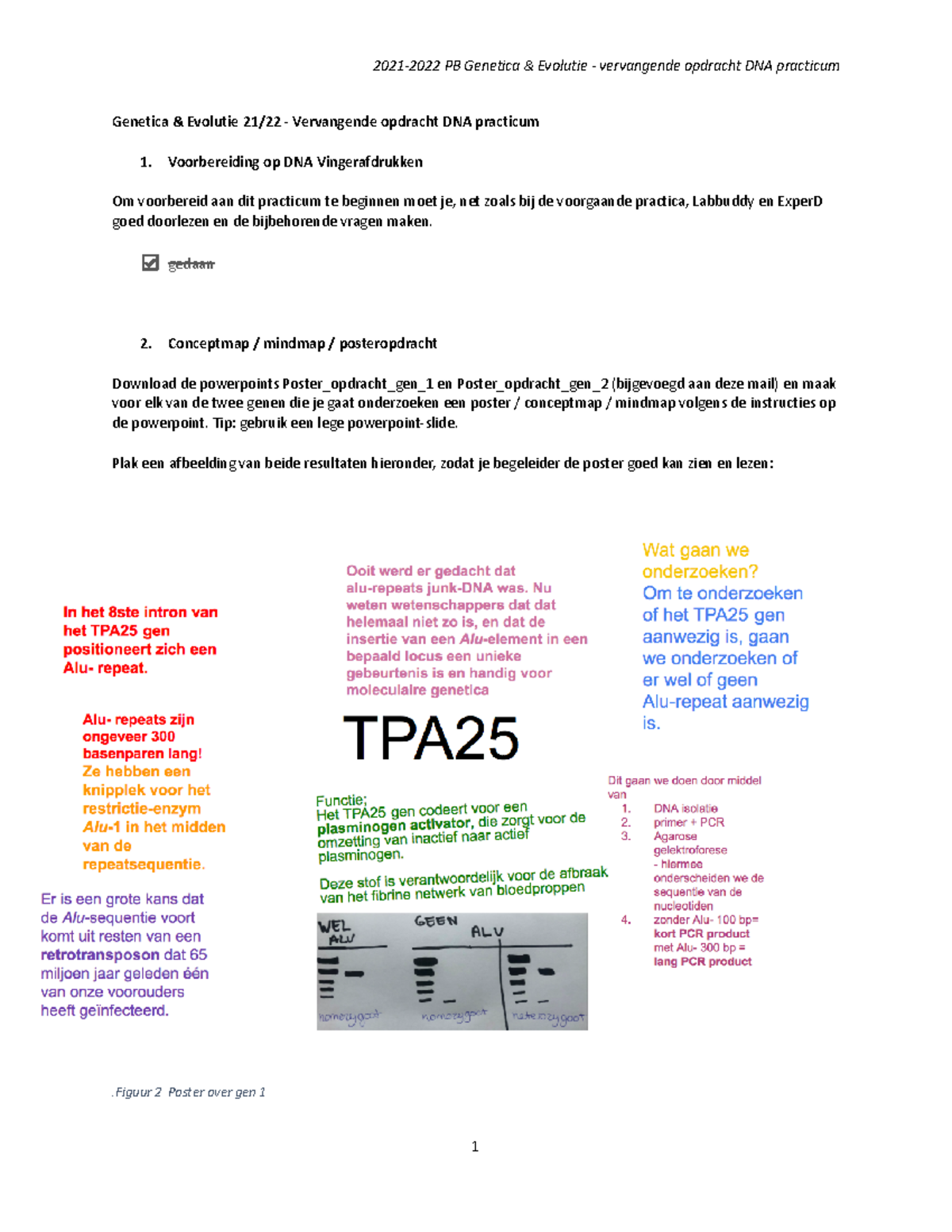 2122 DNA I vervangende opdracht practicum - Genetica & Evolutie 21/22 - Vervangende opdracht DNA ...