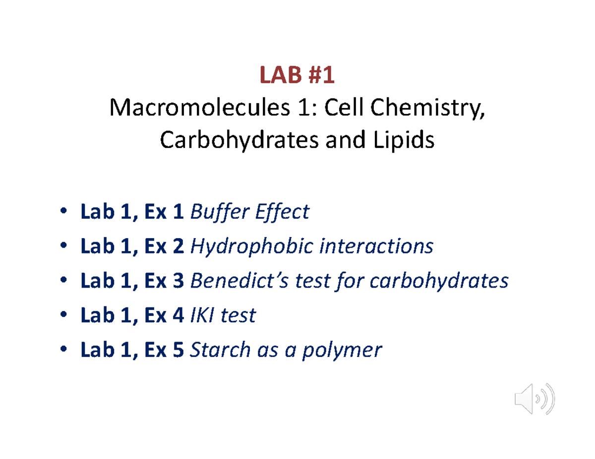 Lab 1 Powerpoint - The name of the teacher is Brenna Ritchie ...