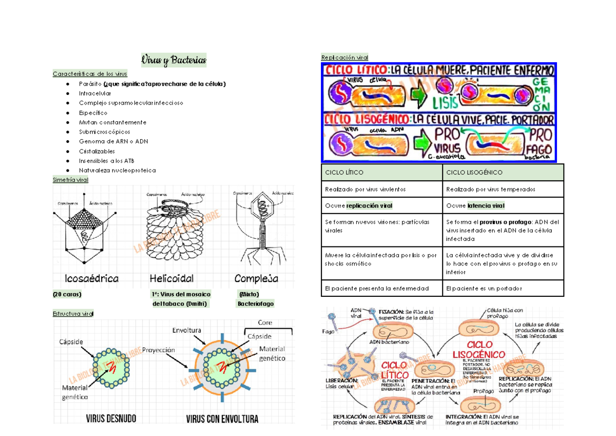 Virus Y Bacterias - apuntes de biologia pre san marcos - Virus y ...