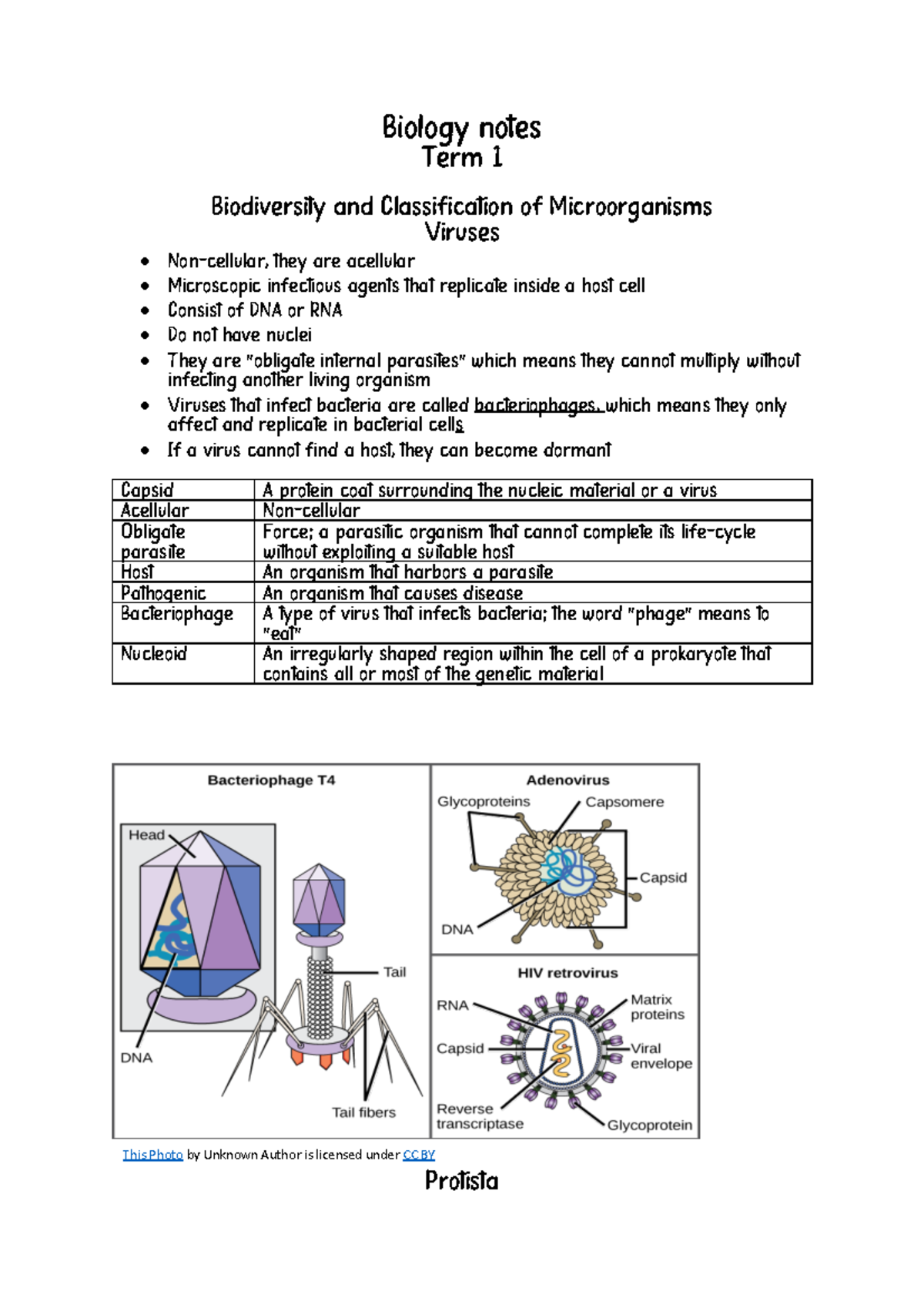 Biology notes - Biology notes Term 1 Biodiversity and Classification of ...
