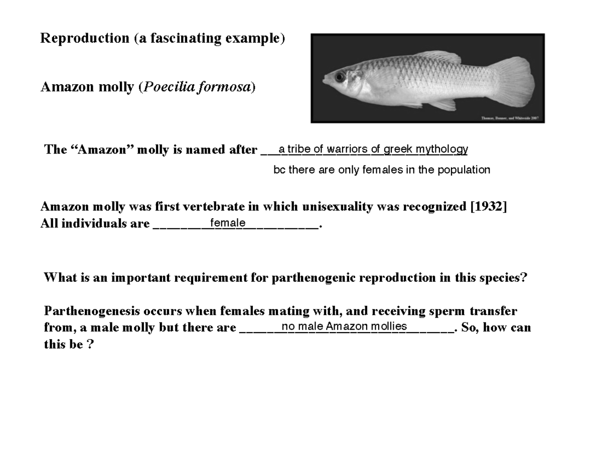 Module 2 (part B) - revised - Amazon molly (Poecilia formosa ...