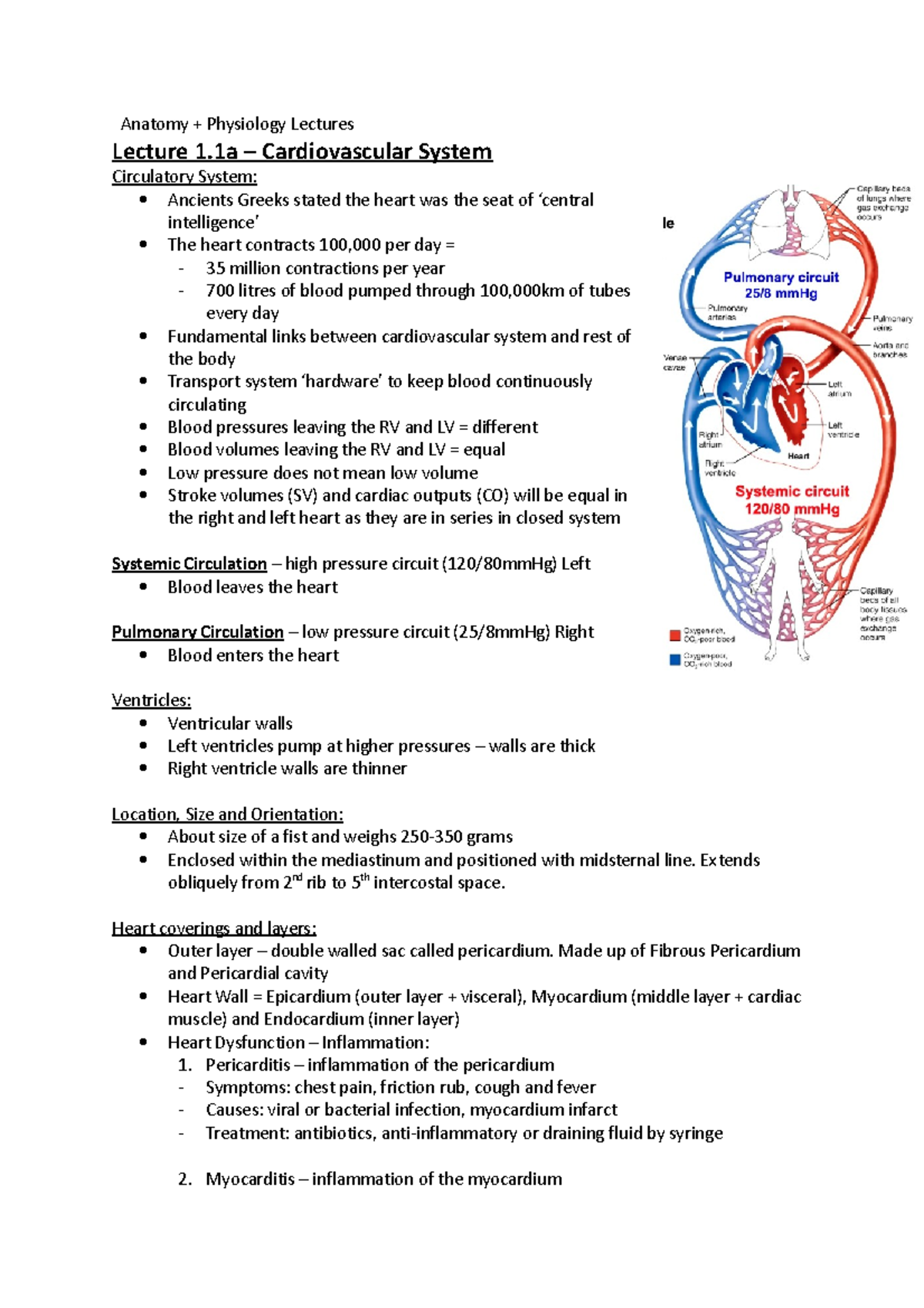 Anatomy Notes Semester 2 - Anatomy + Physiology Lectures Lecture 1 ...