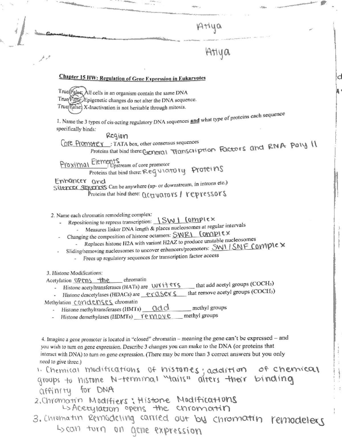 Chapter 15 - Dr. Merk - BIOL 310 - Studocu