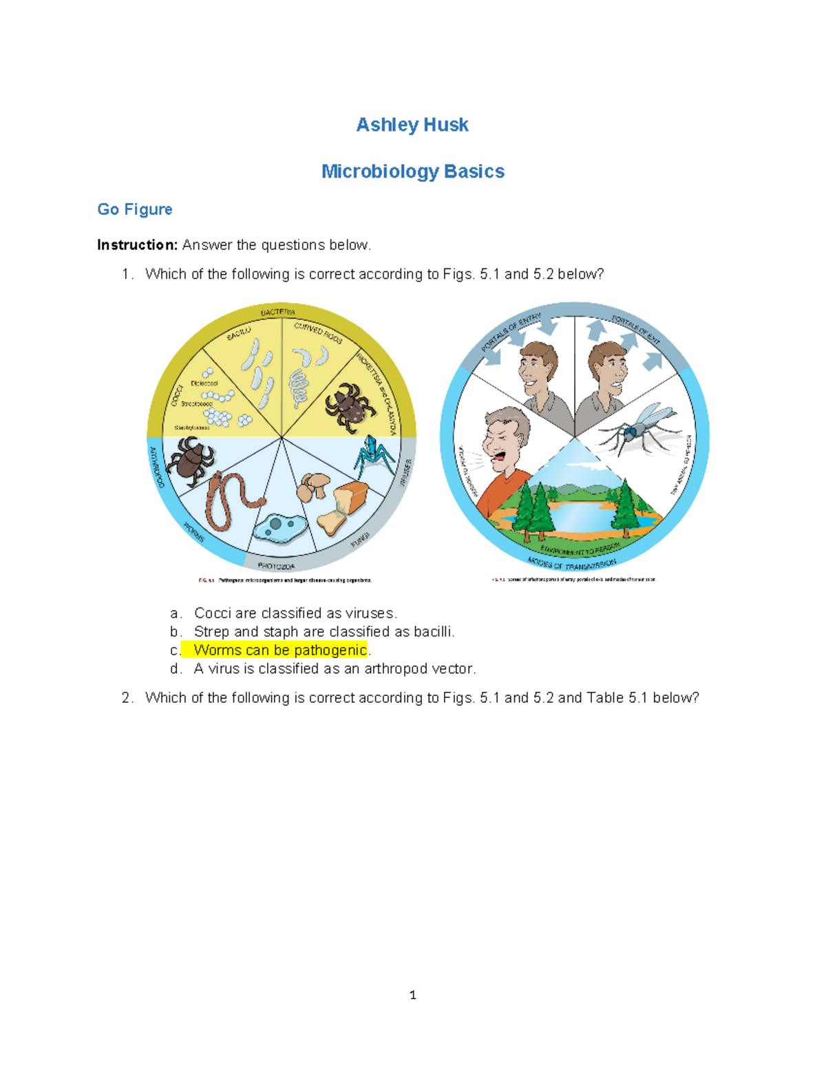 AHP106 Wk1 Assignment Worksheet online - Ashley Husk Microbiology ...