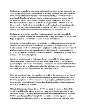 Essay muscular and endocrine - The muscular and endocrine systems are ...