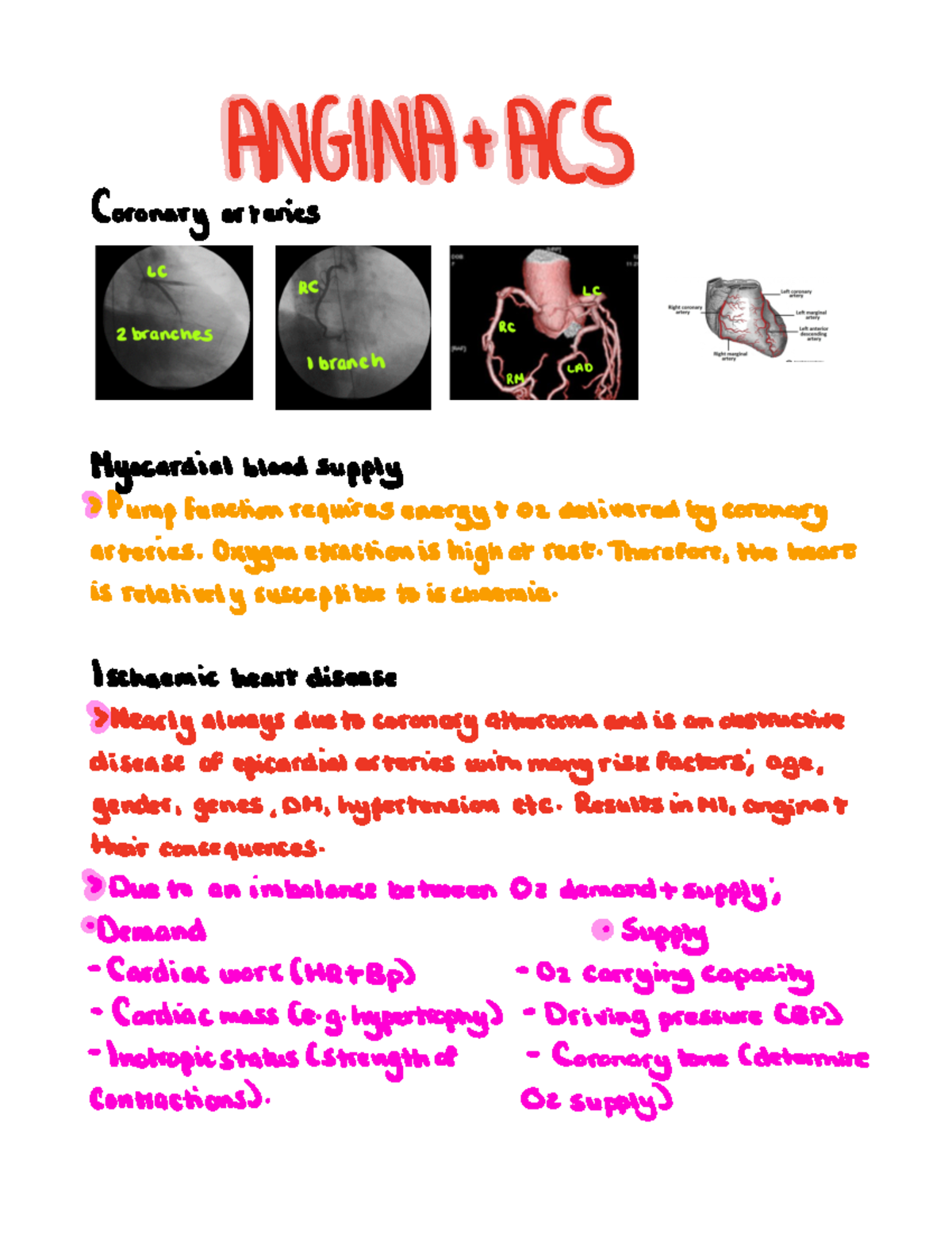 Angina and ACS - Pathology - ANGINATACS Coronary arteries Myocardial ...