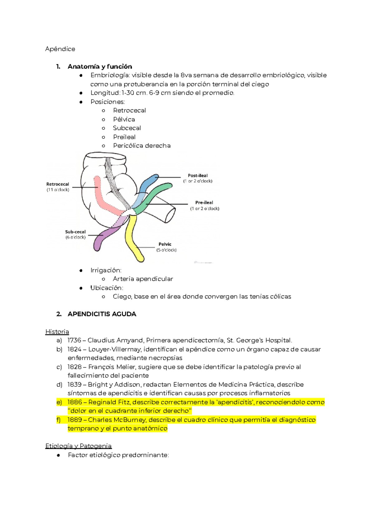 Apendicitis - Apéndice 1. Anatomía y función Embriología: visible desde ...