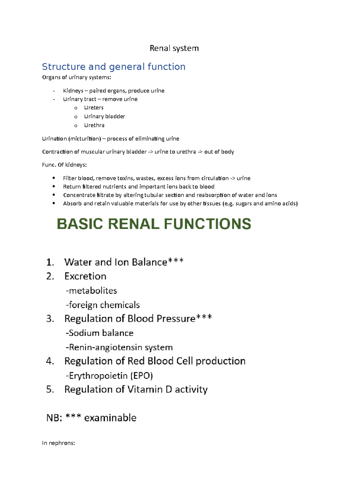 Renal System Notes - Renal system Structure and general function Organs ...