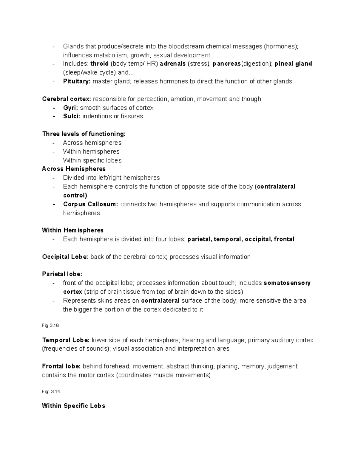 Psychology 111 Notes 19-20 - Glands that produce/secrete into the ...