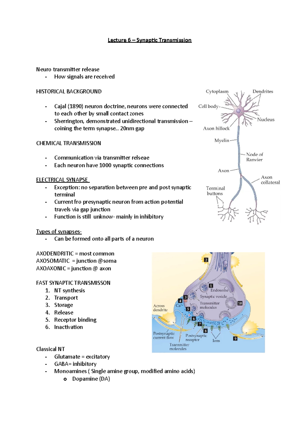 synaptic tranmission - Lecture 6 – Synaptic Transmission Neuro ...