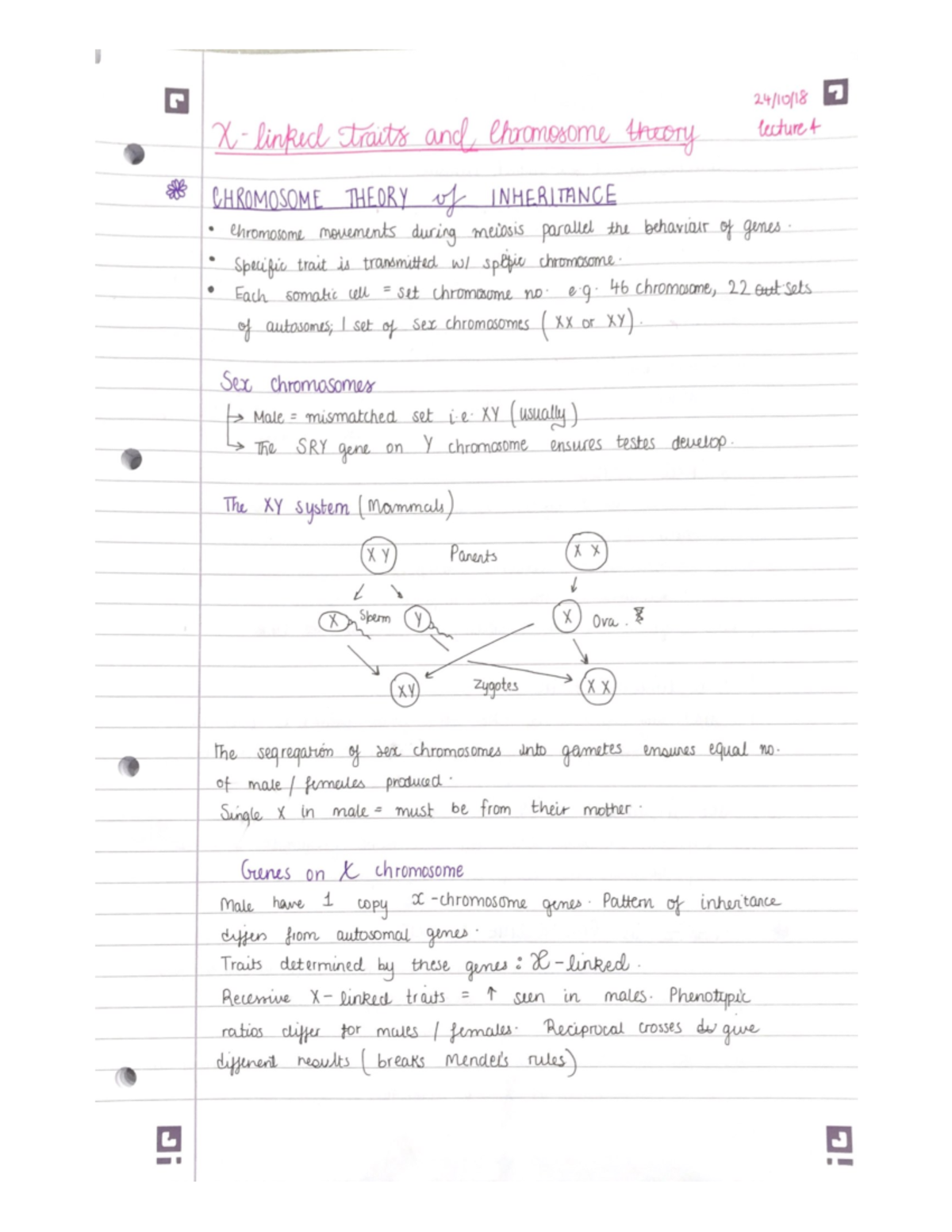 7. X-linked Traits And Chromosome Theory - ACE1013 - Studocu