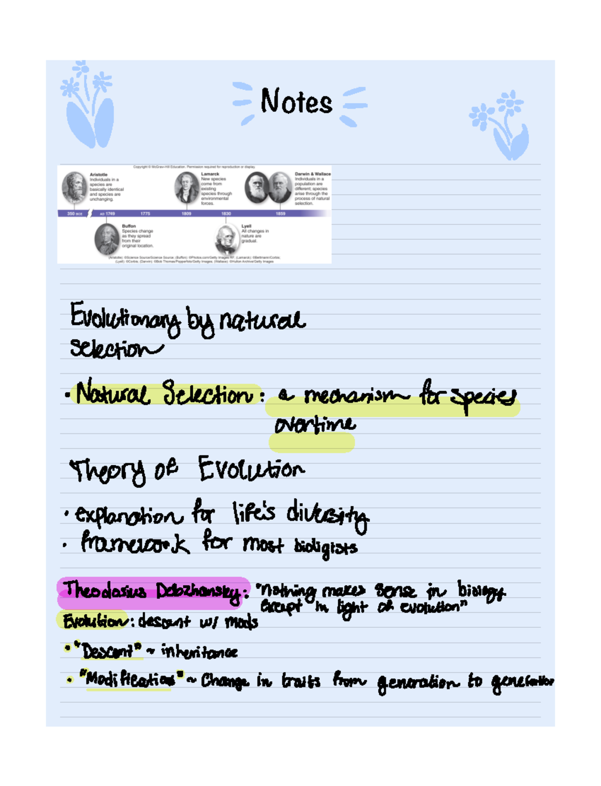 BIO 113 Evolutionary Theory - i É E iggy Notes Notes Evolutionary by ...