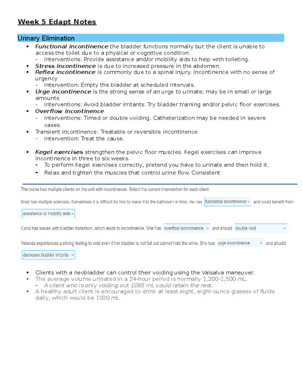 Week 5 Edapt Notes Week 5 Edapt Notes Urinary Elimination Functional Incontinence The Bladder