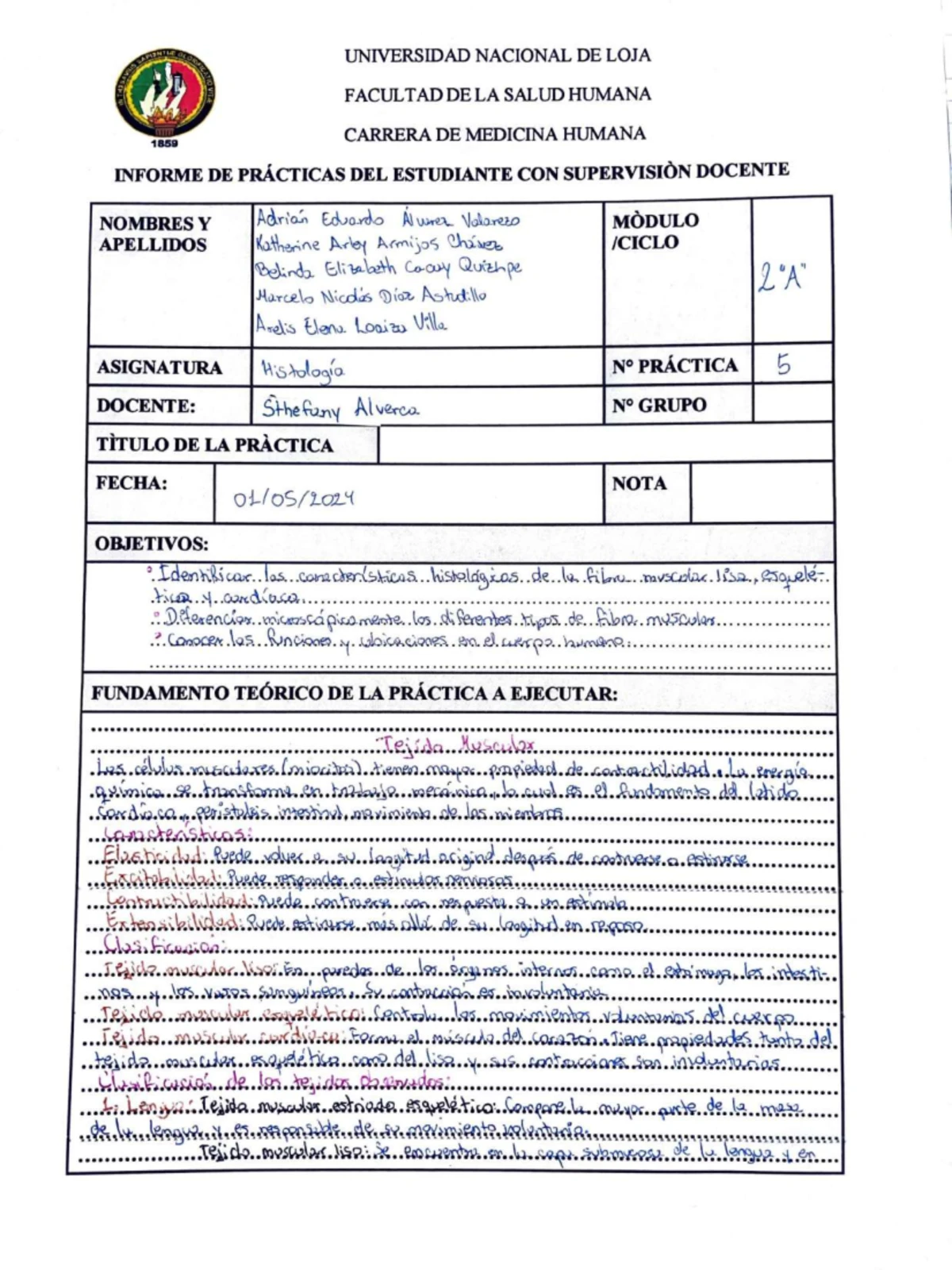 Sistema Linfático - Histología - SISTEMA LINFÁTICO TIMO (neonato) TIMO ...