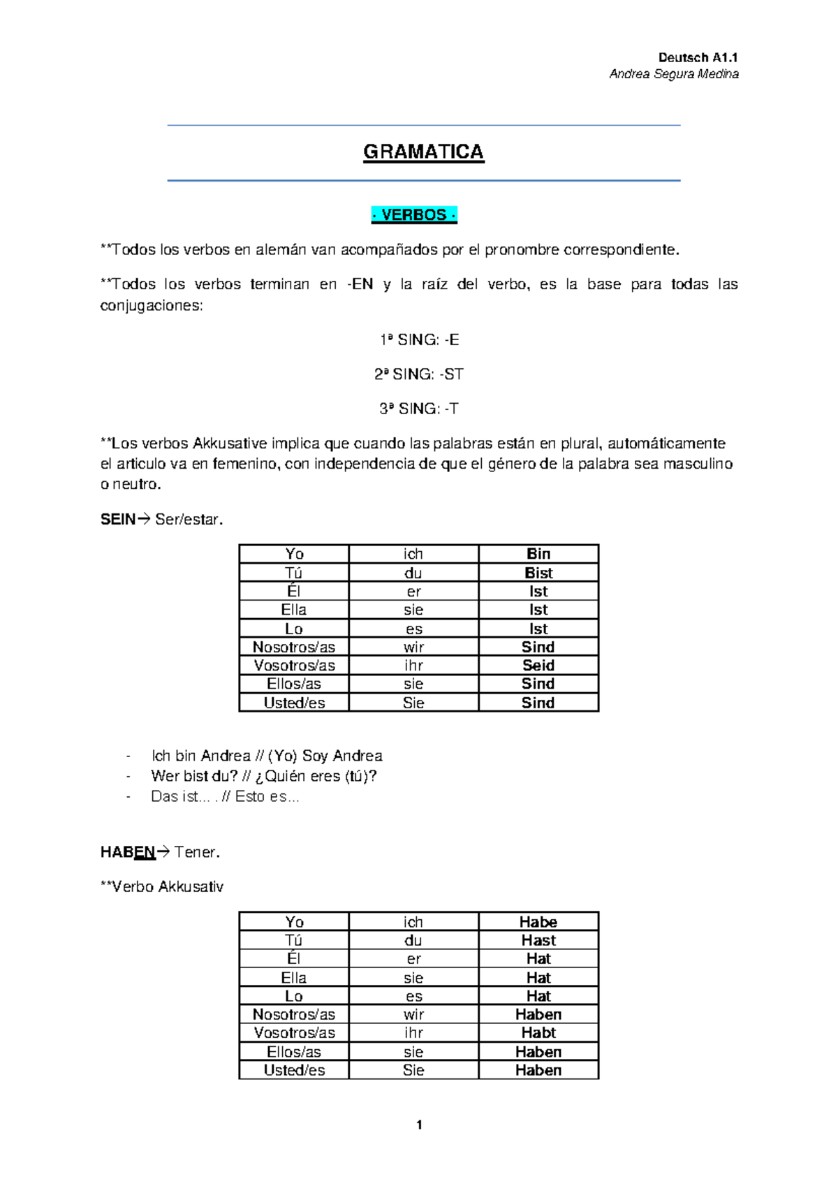 Deutsch A - Apuntes alemán nivel A1.1. - Andrea Segura Medina GRAMATICA ...