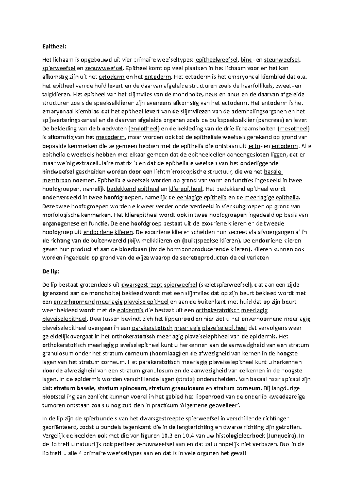 Achtergrondinformatie - Epitheel: Het lichaam is opgebouwd uit vier ...