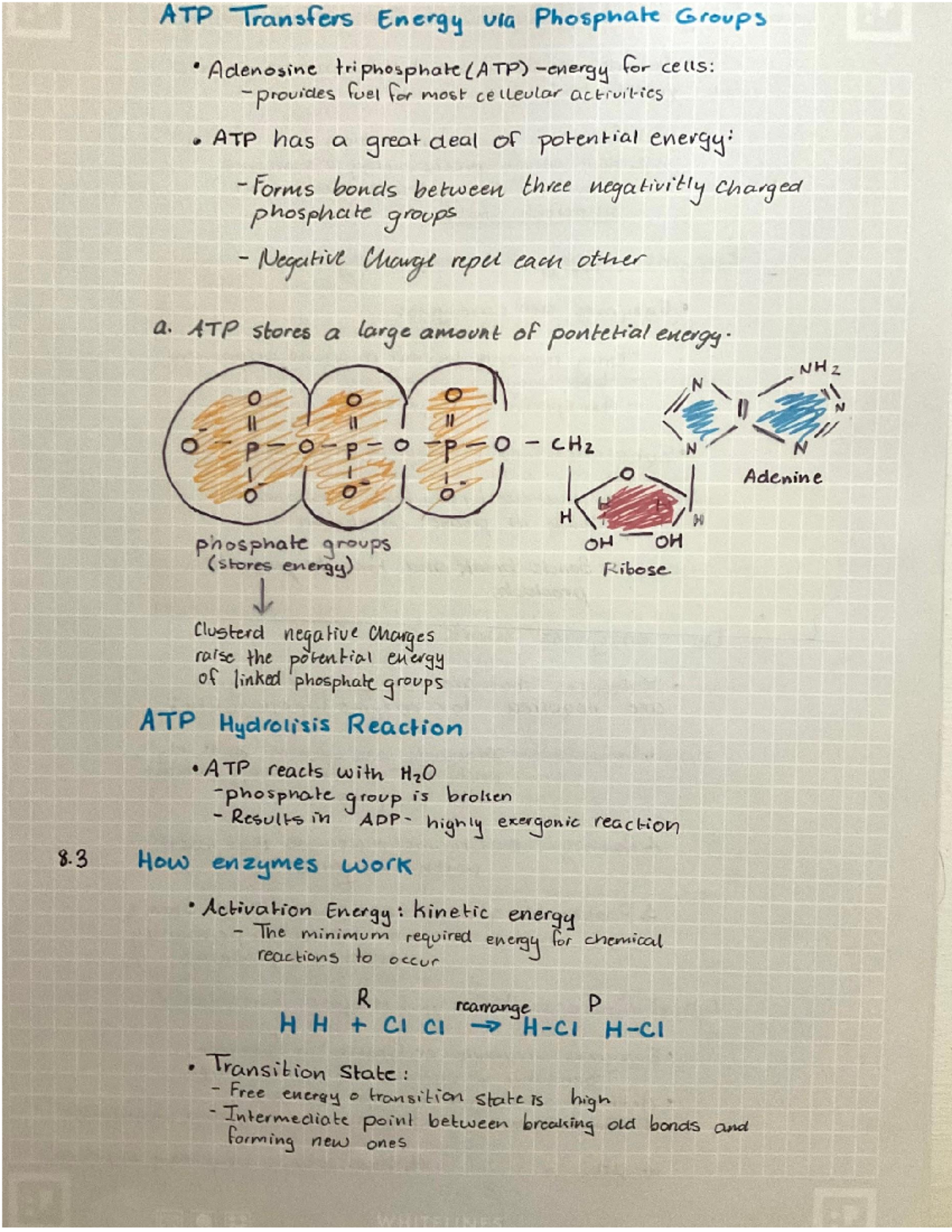 Chapter 8 biological science - Studocu