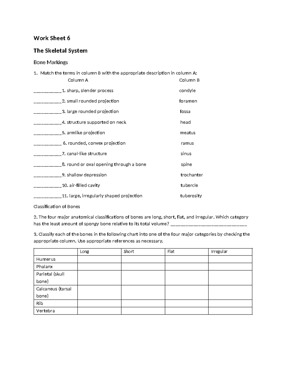 Work sheet 6 Skeletal System - Work Sheet 6 The Skeletal System Bone ...