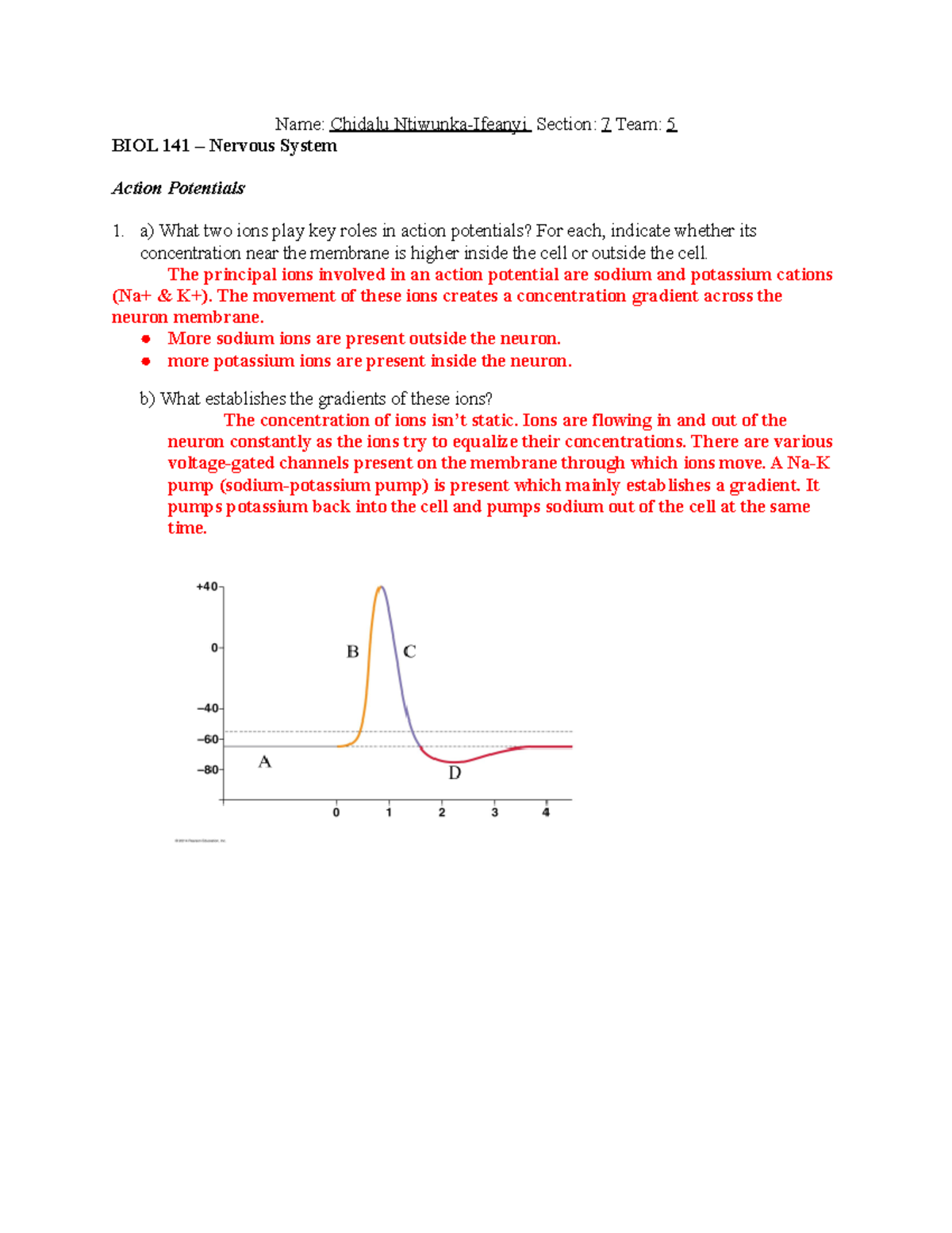 D14 Nervous System - Discussion worksheet - Name: Chidalu Ntiwunka ...