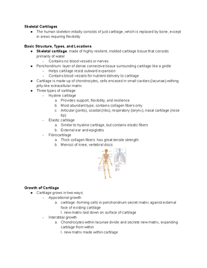 Human Anatomy & Physiology Chapter 11- Fundamentals of the Nervous System and Nervous Tissue ...