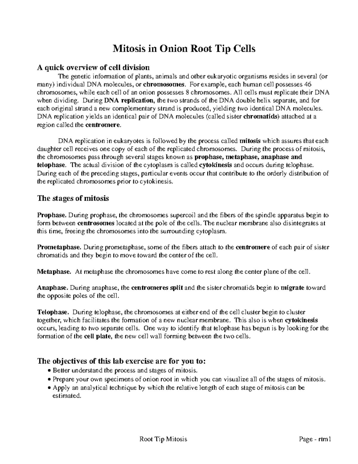 209625320 onion root mitosis lab - Mitosis in Onion Root Tip Cells A ...