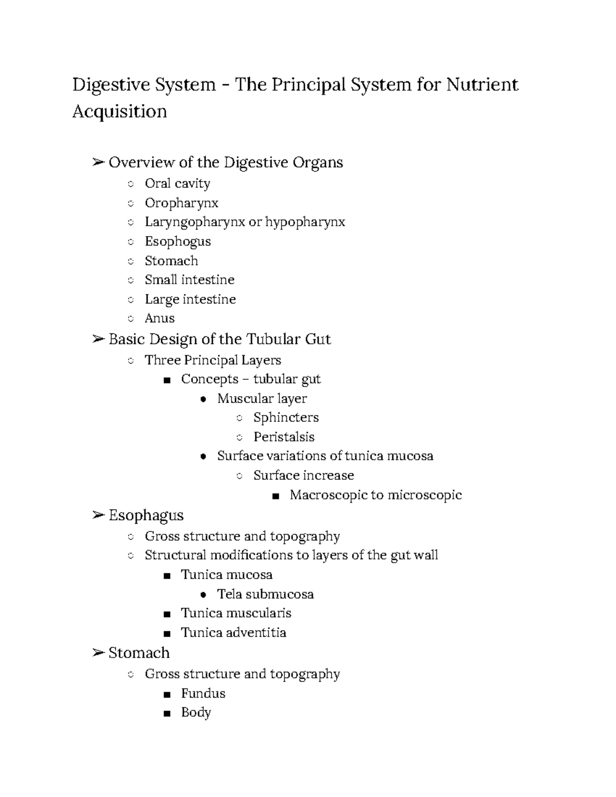 Anatomy Program Lecture Notes 9 - Digestive System - The Principal ...