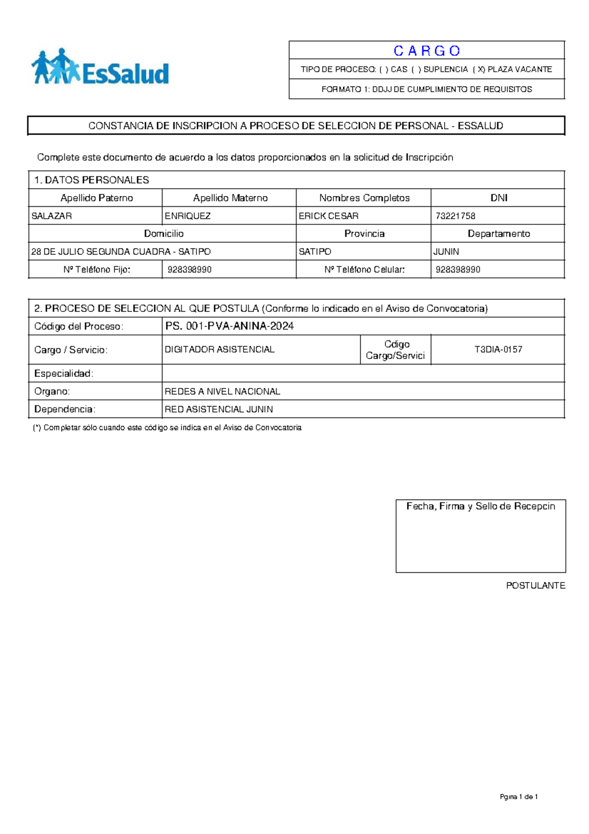 Formato 1 Cargo - bvbv bv - FORMATO 1: DDJJ DE CUMPLIMIENTO DE ...