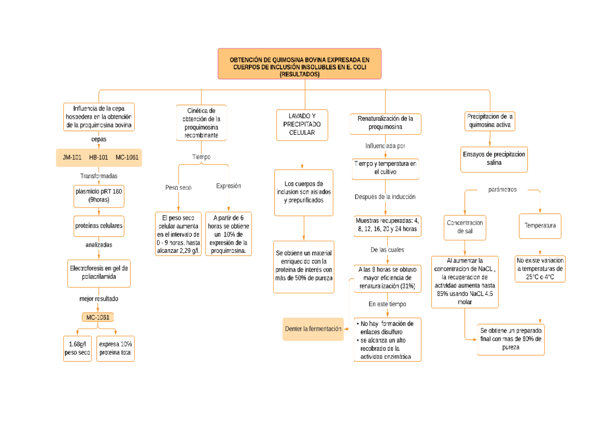 MAPA 02 - Obtención de quimosina bovina - Bioquímica - Studocu