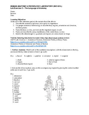 Lab Exercise 4 The Cell Anatomy and Division - Lab Exercise 4 – The ...